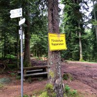 Nordic Walking bei Kirnbach im Schwarzwald
